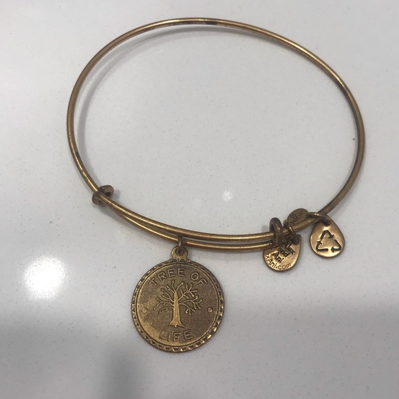 Alex and Ani | Jewelry | Alexani Tree Of Life Bangle Special Offer ...